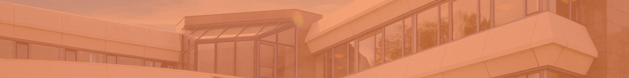 Adionics: Unique solution for direct lithium extraction